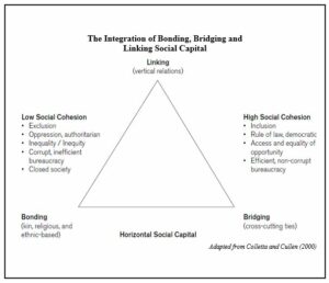 Understanding Social Capital